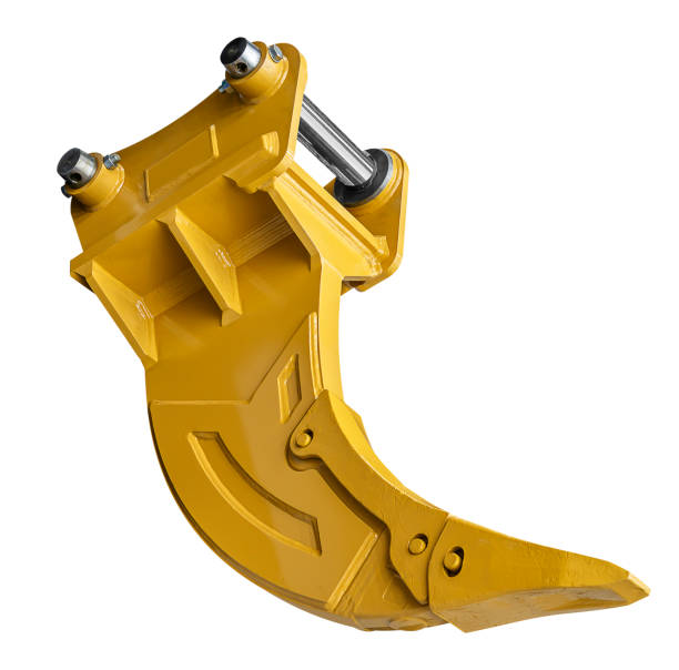 Bagaimana Cara Merawat Ripper dengan Tepat? Ini Tips Mudahnya! - BCTN