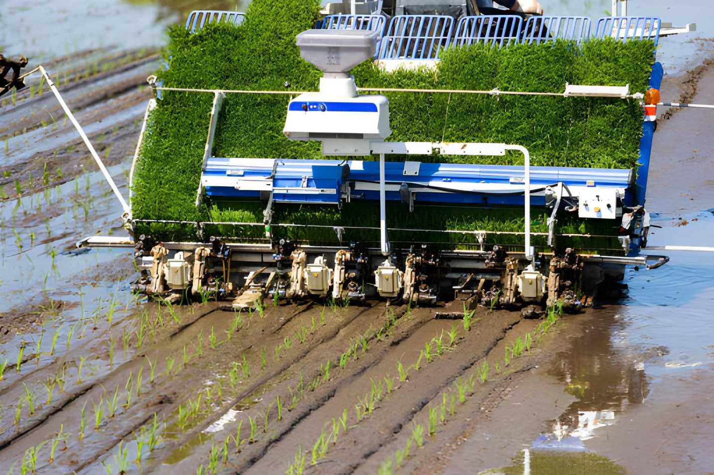 Cara Mudah Tanam Padi Rapi Pakai Rice Transplanter!